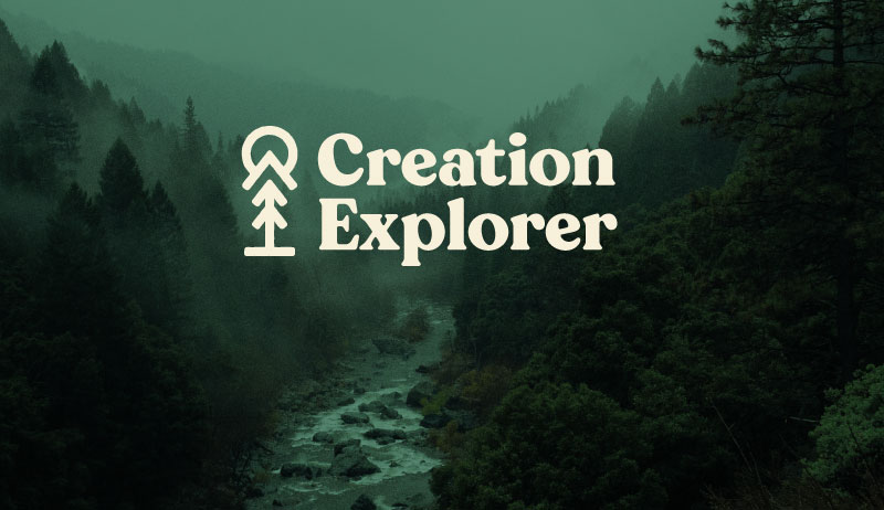 Creation Explorer – Fountain Supply Co.
